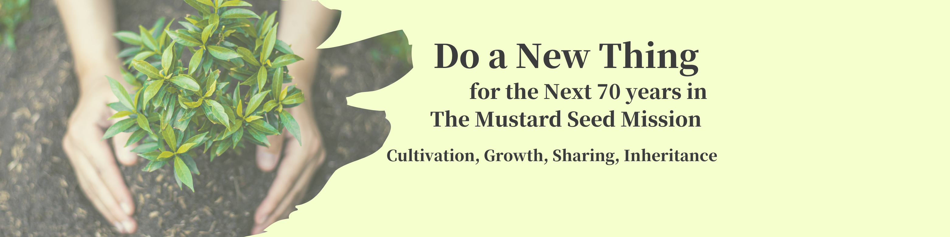 The Mustard Seed Mission > Home